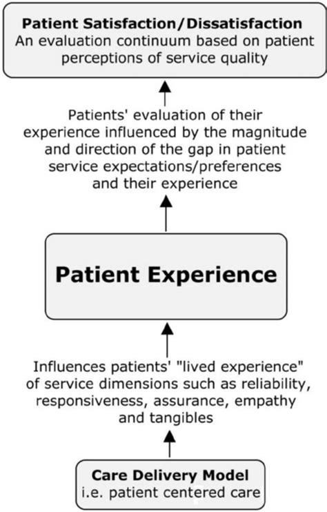 Systematic Review Conceptual Framework To Situate Patient Experience