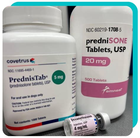 What Are The Side Effects Of Prednisolone In Dogs