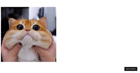 Cropperjs Vue Codesandbox