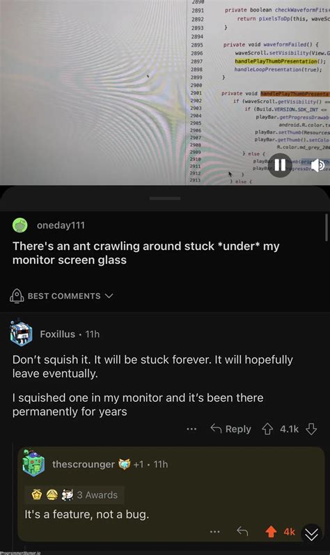 I Develop Features ProgrammerHumor Io