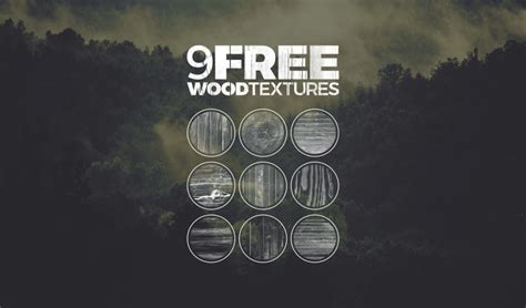 Tree Texture Vector At Collection Of Tree Texture Tree Texture Vector At Collection Of Tree Texture