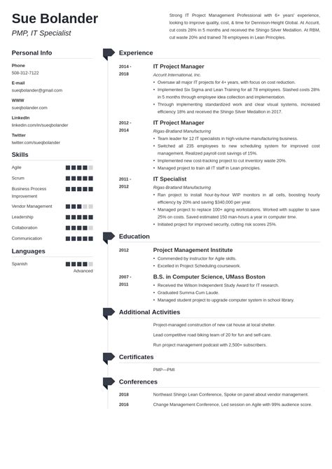 Project Manager CV Examples Guide For