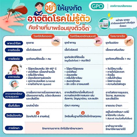 ดาราภาพยนตร์ ดาราภาพยนตร์ชวนรู้สู้โรค โรคไข้เลือดออก โรคไข้สมองอักเสบเจอี โรคมาลาเรีย ฝนตก