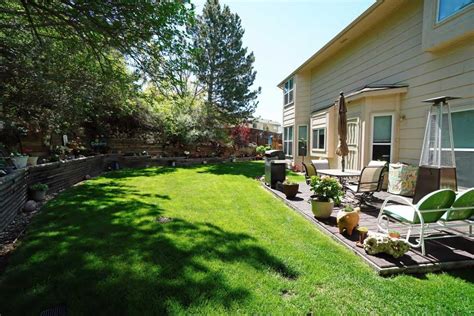 Best Grass For Colorado Front Range At Christie Llamas Blog