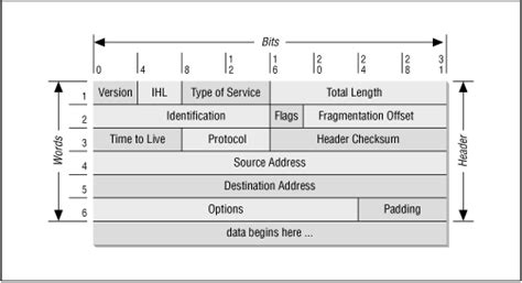 How To Read Specific Information From A Tcp Packet Stack Overflow
