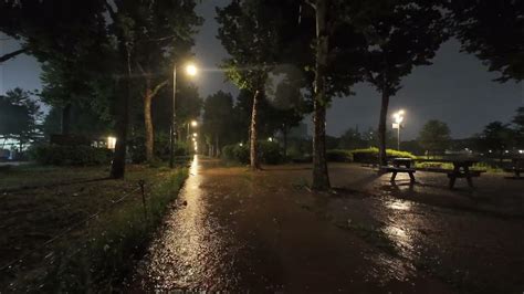공원의 산책길에 쏟아지는 폭우 빗소리asmr Youtube