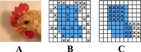 Table 1 From An Advanced Chicken Face Detection Network Based On Gan And Mae Semantic Scholar