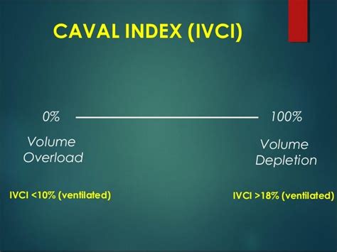 Ivc Guided Fluid Management In The Icu