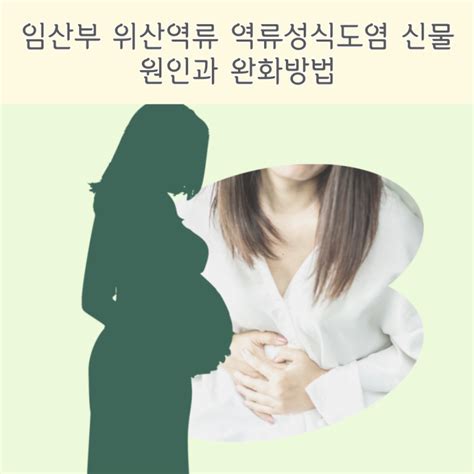 임산부 역류성식도염 임신 중 속쓰림 소화불량 신물의 원인 완화방법과 좋은 음식 나의경험 네이버 블로그