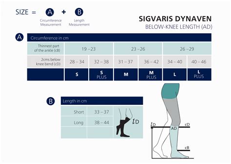 Class 2 Dynaven Medical Compression Knee Novomed