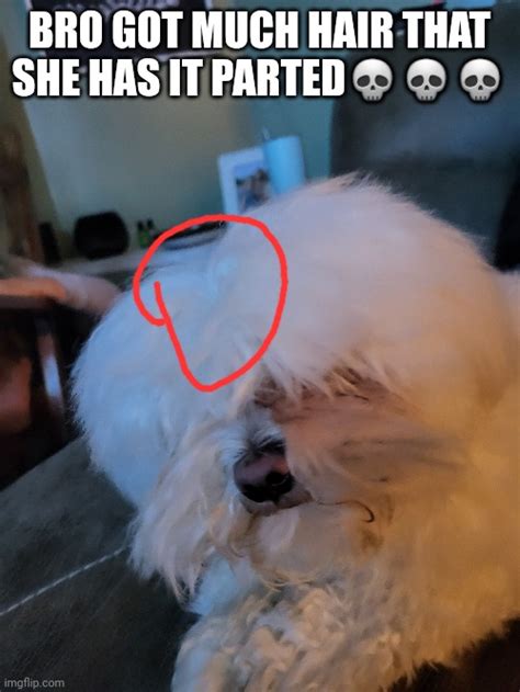 It Just Hit Me Imgflip