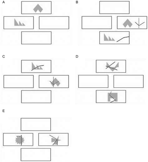All Nine Stages Of The Intra Dimensionalextra Dimensional Set Shifting