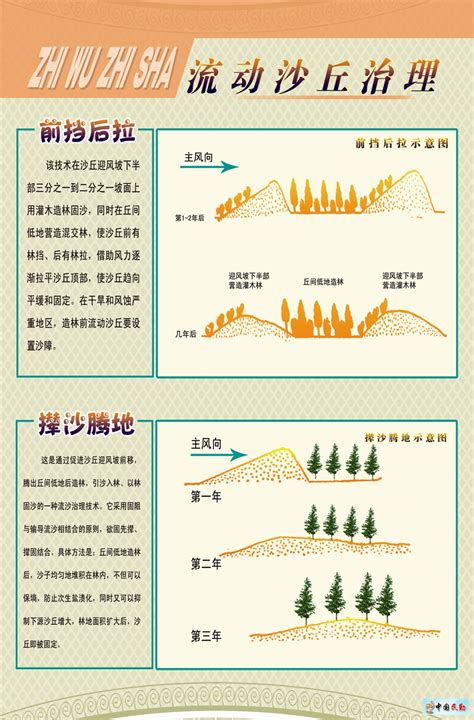 流动沙丘治理技术 中国网