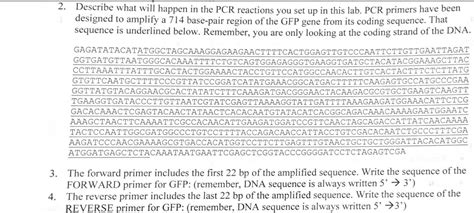 Solved 2 Describe What Will Happen In The Pcr Reactions You