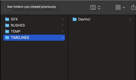 optimize your davinci resolve workflow file structure and media