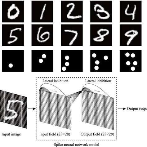Schematic Of The Dataset And Neural Network Structure A Symbolic