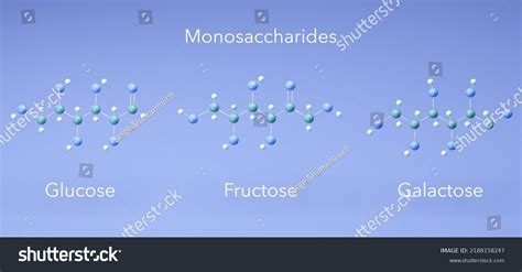 Monosaccharide Glucose Fructose Galactose Molecular Structures Stock Illustration 2188158247