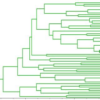 Upgma Dendrogram Of Vitis Genotypes Derived From Ssr Data Loci Download Scientific