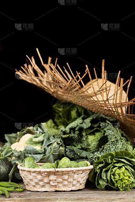 绿色蔬菜的种类