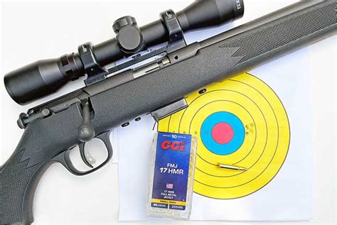 Exploring The 17 Hmr Rifles And Handguns The Shooters Log