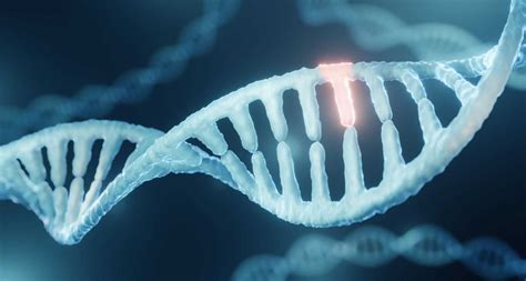 Mutations Quiz Quiznow