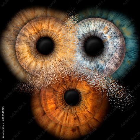 Photo Of Three Eyes Taken In Macro Mode Different Persons Simulating
