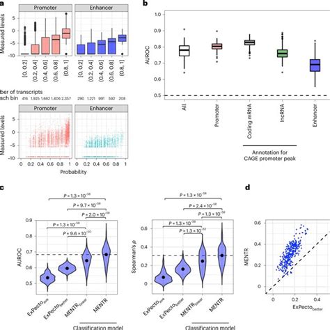 Cell Type Specific Prediction Of Promoter Level And Enhancer Level