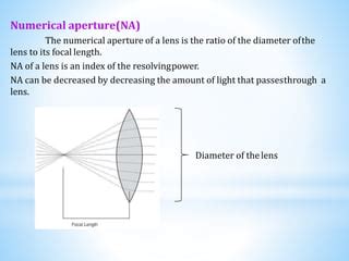 Light Microscope And Types PPTX