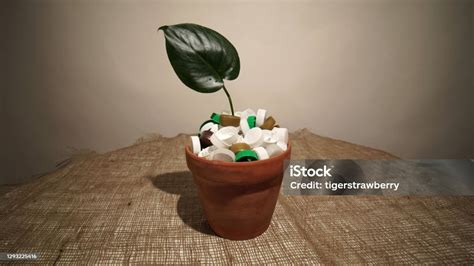 플라스틱 먼지 쓰레기로 가득 찬 냄비에 어린 묘목 환경 보존 재해의 개념은 한 번 플라스틱 및 포장의 남용으로 인해 토양에 녹색 식물 또는 플라스틱 쓰레기로 만든 먼지 0