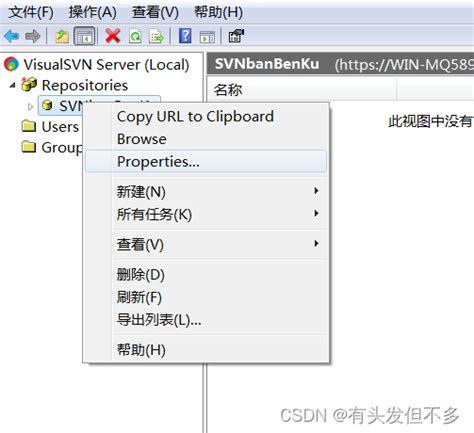 Svn服务器端与客户端的使用——svn笔记svn服务端客户端 Csdn博客