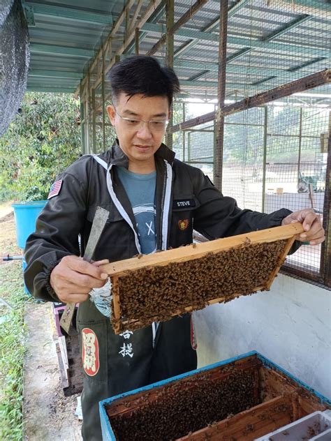 Malaysia Bee Farm And Pure Honey Producer Since 2016