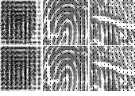 Figure 1 From A Multi Scale Approach To Directional Field Estimation