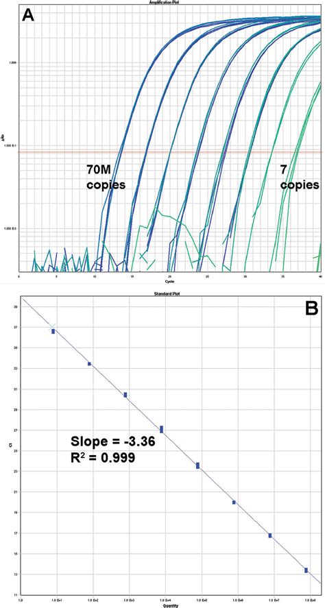 Figure 2 From Real Time Quantification Of Micrornas By Stem Loop Rt Pcr