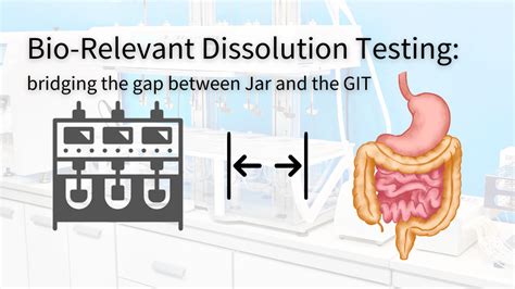 Bio Relevant Dissolution Testing Bridging The Gap Between Jar And The Git