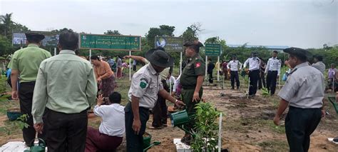 ရွှေဘိုမြို့၌ ဒေသစိမ်းလန်းစိုပြည်ရေး မိုးရာသီအကြို သစ်ပင်စိုက်ပျိုးပွဲကျင်းပ Information And