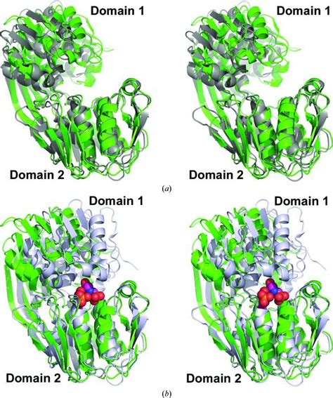 Ab Epsp Synthase Millipore Bioz