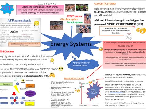 A Level PE OCR Energy Systems Knowledge Organisers Teaching Resources
