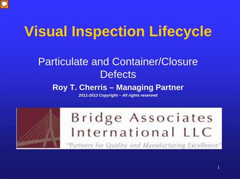 Pdf Visual Inspection Lifecycle Dokumen Tips