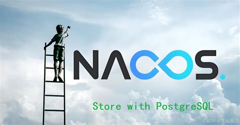 nacos 2 4 0最新版本，postgresql插件适配器修改分享 java 宝藏 csdn专栏