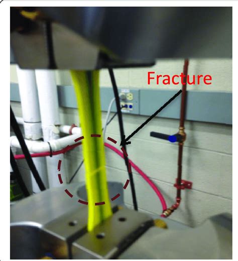 Experimental Setup After Testing Download Scientific Diagram
