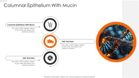 Columnar Epithelium With Mucin Powerpoint Presentation And Slides Slideteam