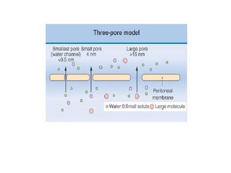 Peritoneal Dialysis Dr Ejaz Ahmed Barrier To Transport