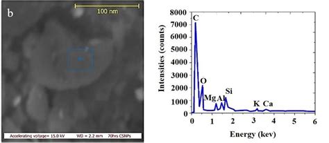 Sem Edx Of Revealing Morphology Of Coconut Shell Nanoparticles Obtained Download Scientific
