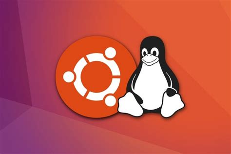 User Management On Ubuntu Linux In This Article We Will Look At Mainly By Mustafa Ak