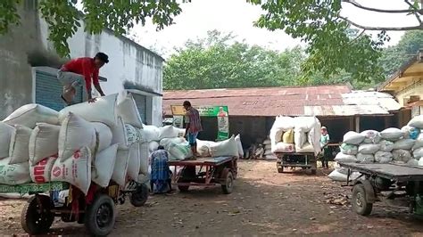 Basirhat News সরকারি কেন্দ্রেই বেআইনি ধান Bengali News Paddy Scam In Basirhat Tv9 Bangla News