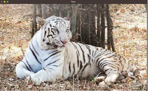 Programming For Beginners How To Read An Image With Opencv