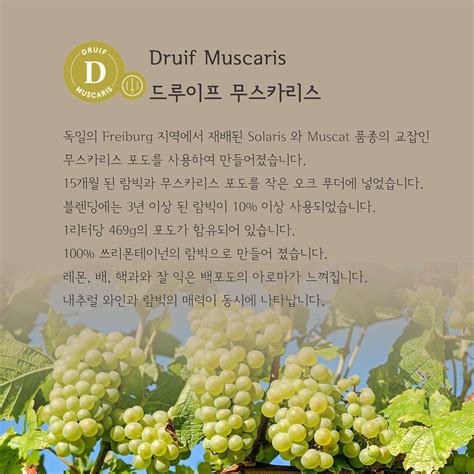수입사 쿨쉽인터내셔널 무스카리스 품종의 포도가 사용된 람빅입니다 많은 성원에 힘입어 현재 수입사 품절입니다 🍇🍇🍇🍇🍇 납품문의는 프로필의 연락처로 부탁드립니다
