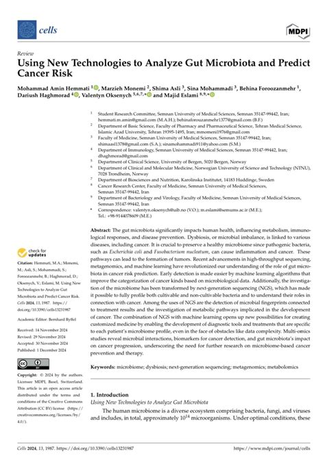 Sina Mohammadi On Linkedin Check Out Our New Article About Using New