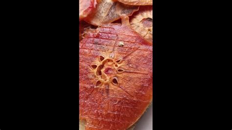 Волшебная хурма ФРИПСЫ сушеные фрукты ПАСТИЛА ШОКОЛАД ВКонтакте