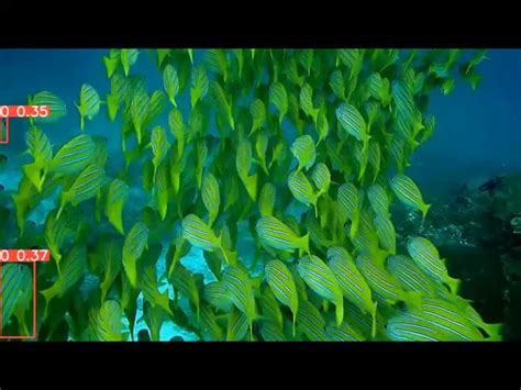 Hemanth Pathi On Linkedin Yolov8 Objectdetection Ai